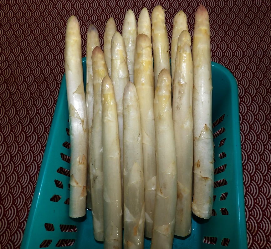 asperges blanches longues calibre moyen par 1 kg | NOWA